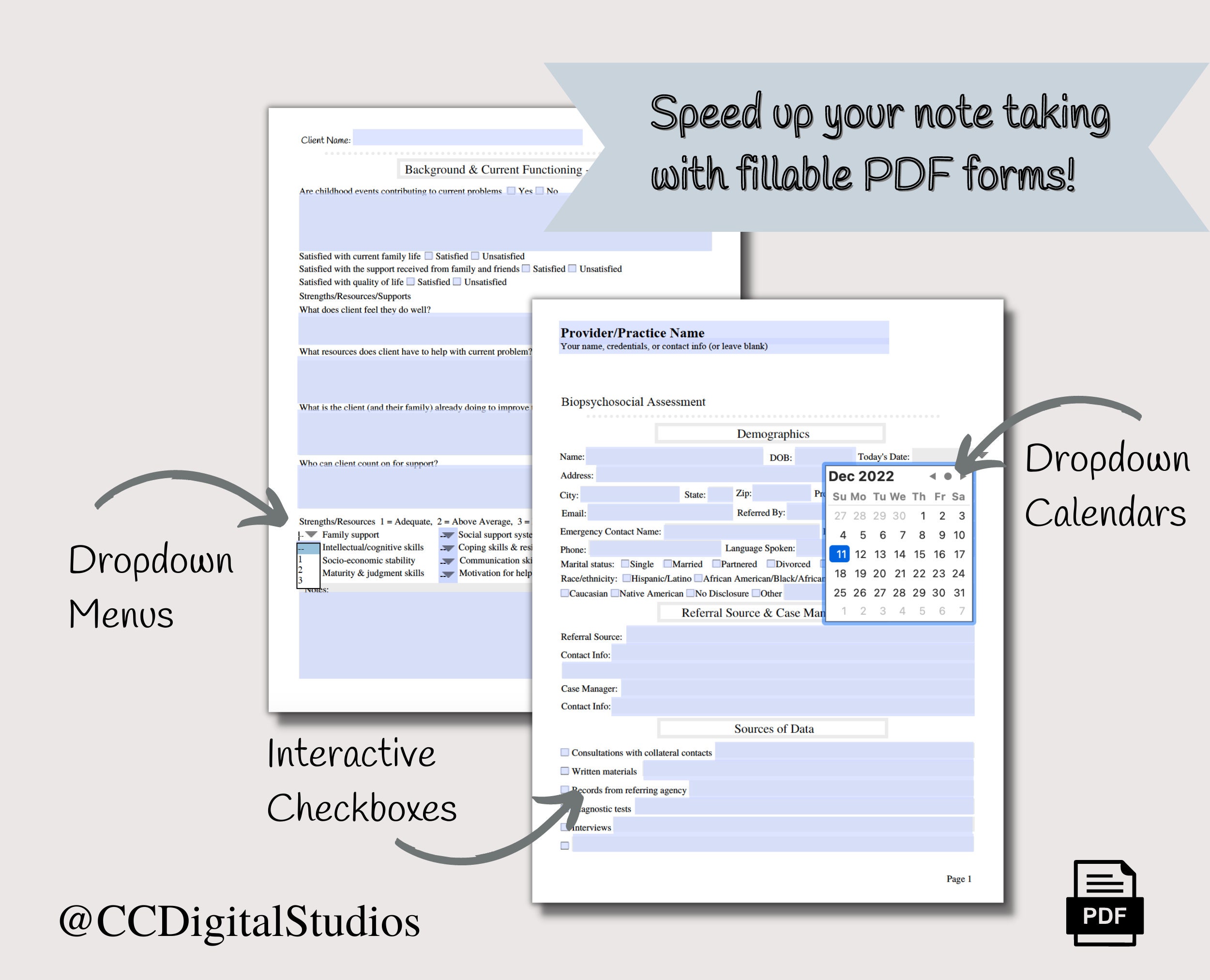 Biopsychosocial Intake Assessment Form Comprehensive Fillable - Etsy Canada