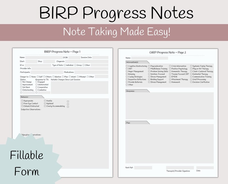 BIRP Note Printable And Fillable Therapist Template Progress Etsy Finland