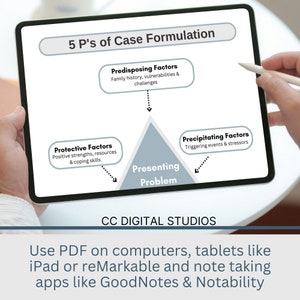 5 P's Case Formulation Worksheets: Mental Health Client Map (digital ...
