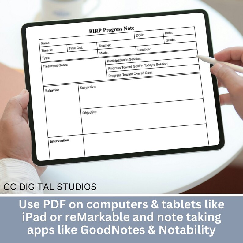 BIRP Progress Note for School Counselors, School Psychologist, School ...