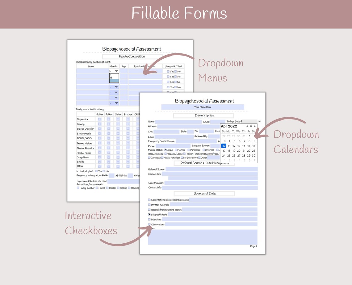Biopsychosocial Assessment Forms Comprehensive Fillable Forms - Etsy