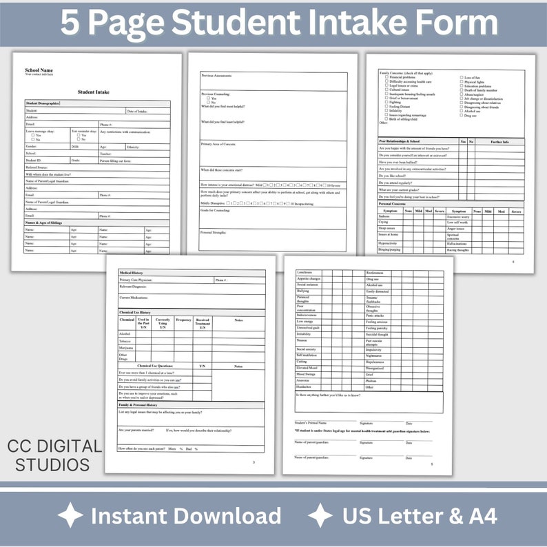 Student Intake Mental Health Form, School Social Worker, School ...