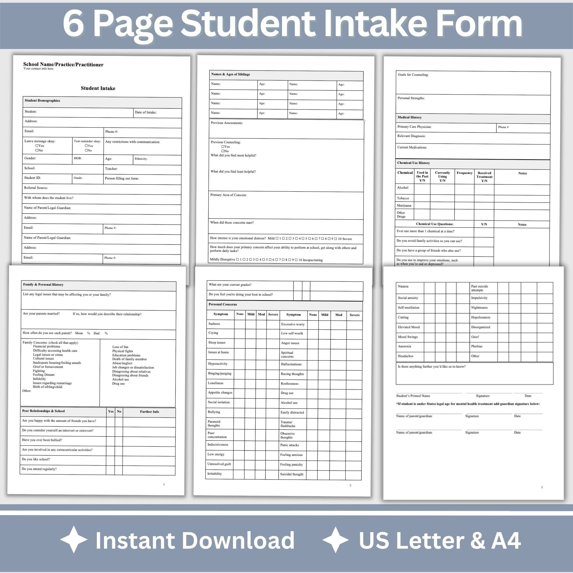 Student Intake Mental Health Form, School Social Worker, School ...