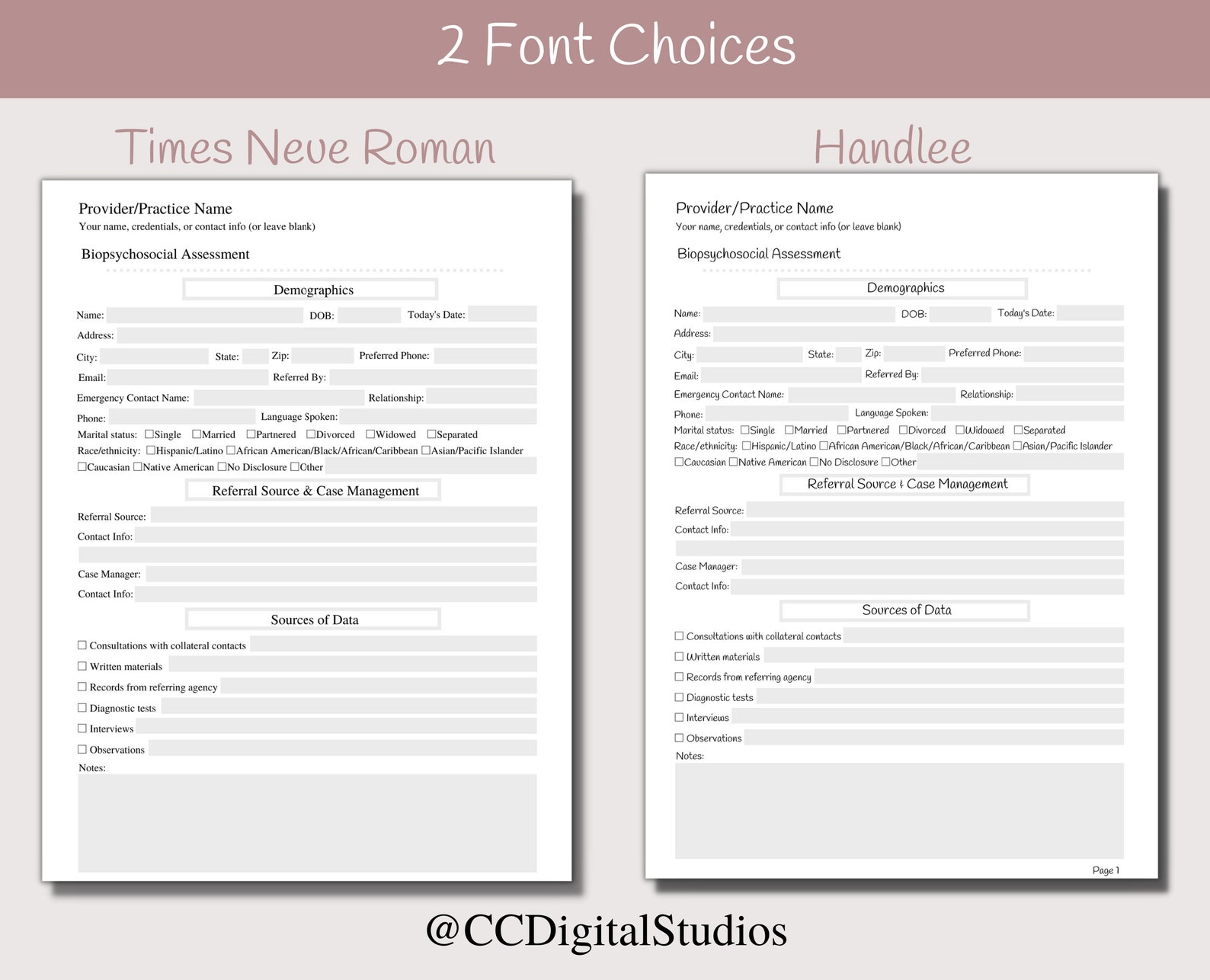 Biopsychosocial Intake Assessment Form Comprehensive Fillable - Etsy