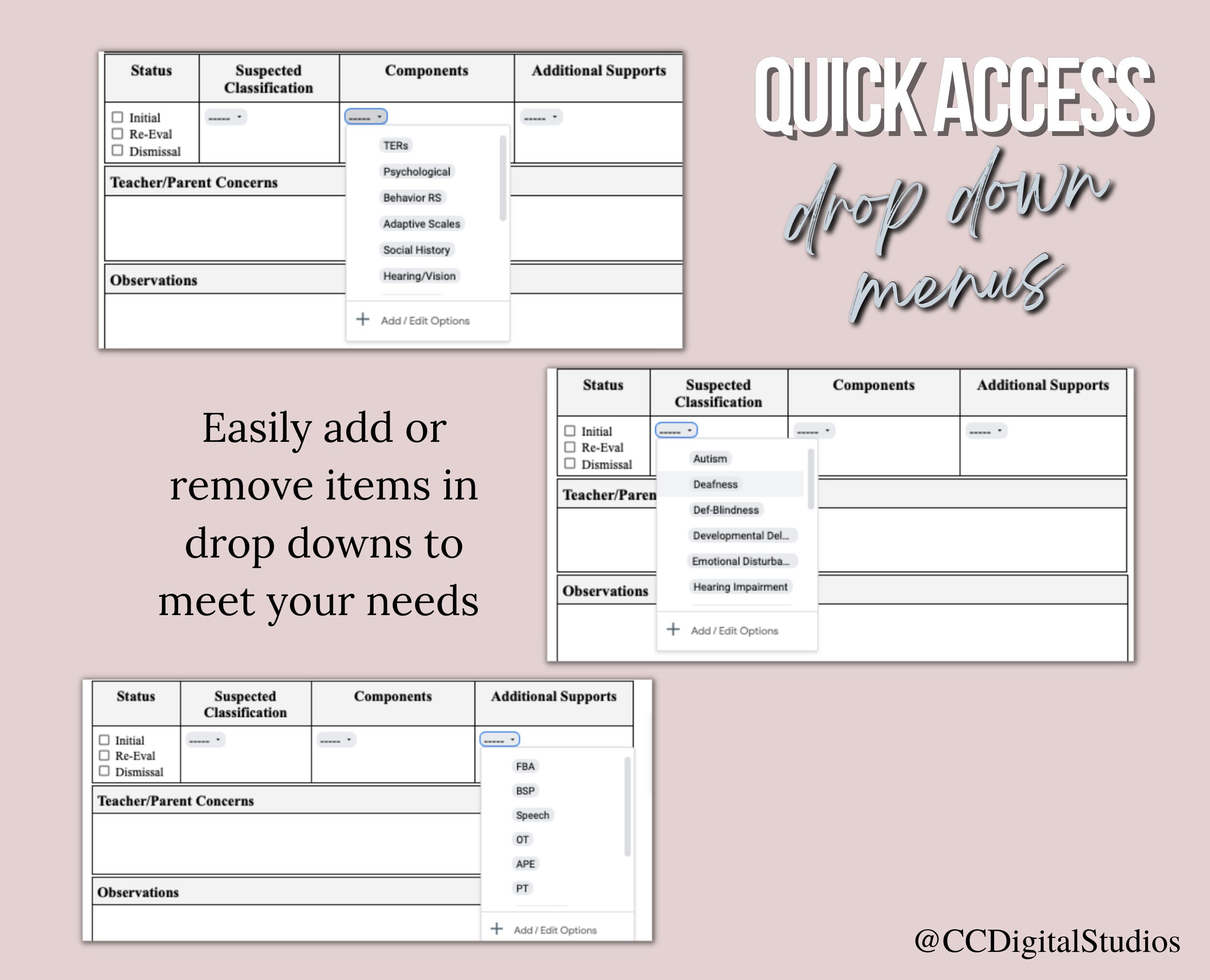 Student Assessment Template, School Psychologist, Student Case Cover ...
