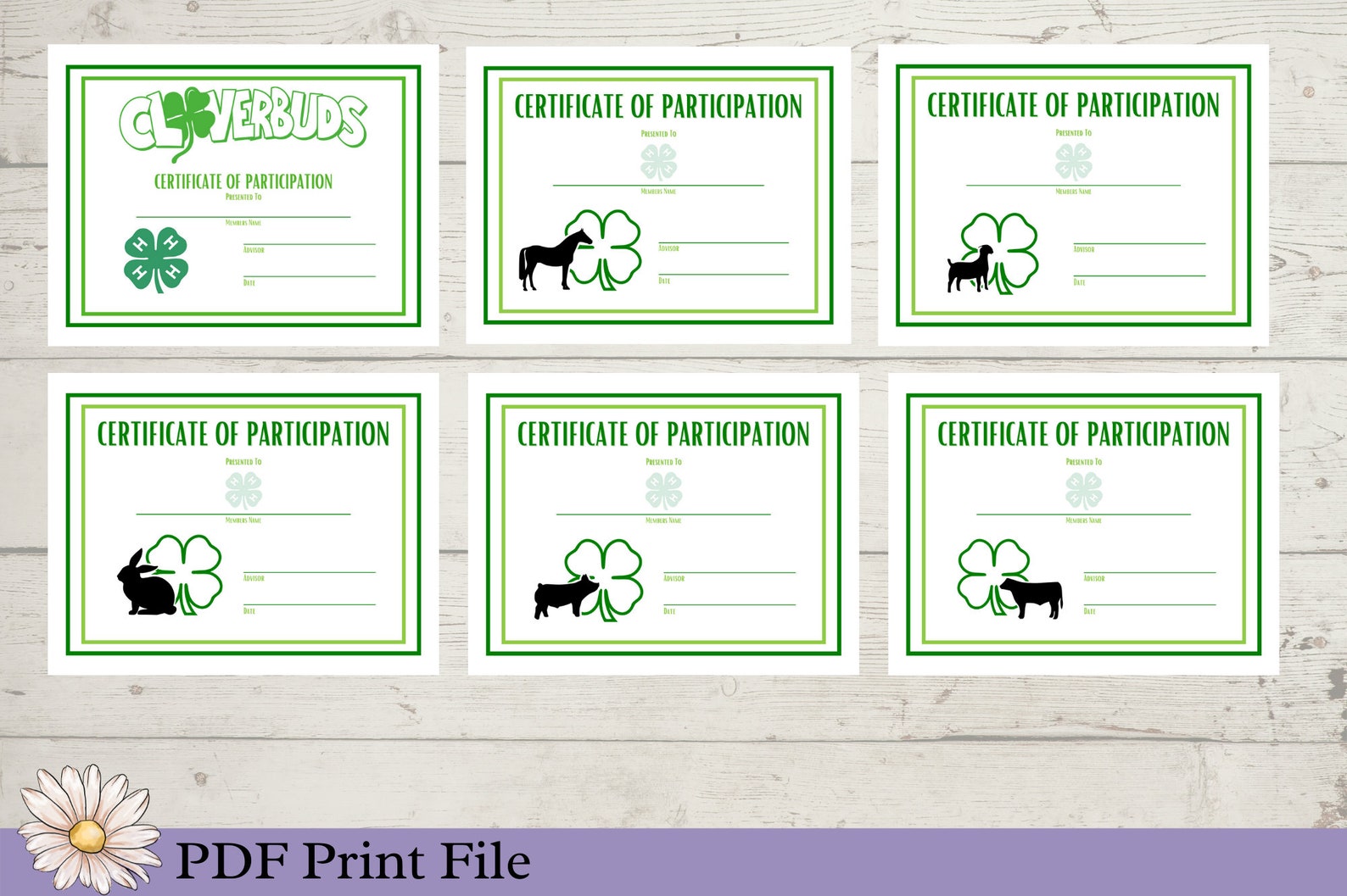 4-H Year End Certificates, Printable 4H Participation Certificate PDF ...
