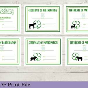 4-H Year End Certificates, Printable 4H Participation Certificate PDF ...