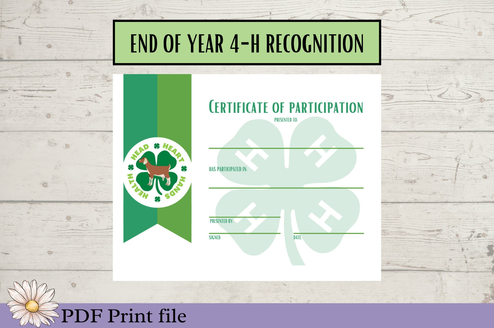 4-H Year End Certificates, Printable 4H Participation Certificate PDF ...