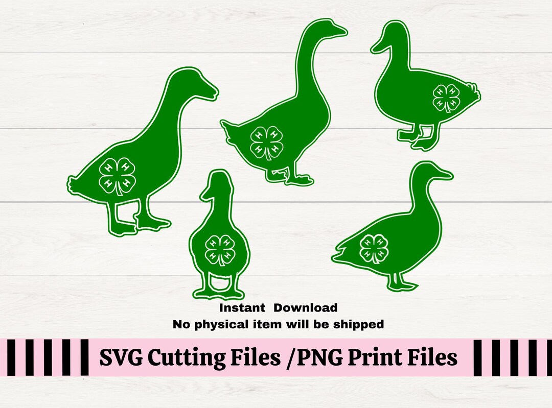 4H Clover Duck SVG, Poultry Show PNG (digital Download) - Etsy