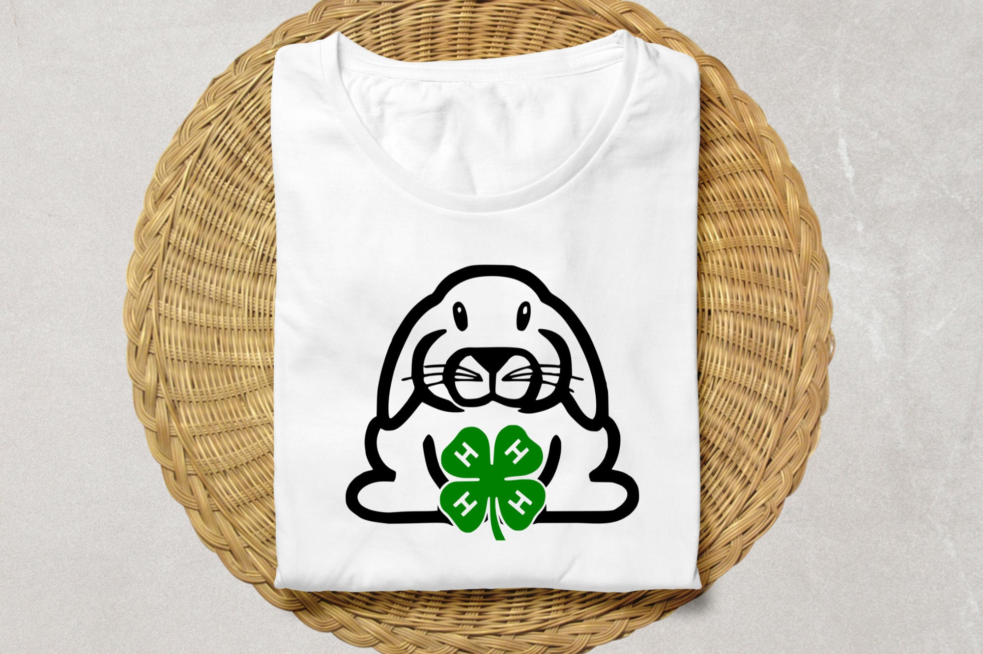 Bunny Rabbit SVG for Decals 4H Rabbit Showmanship Svg for - Etsy