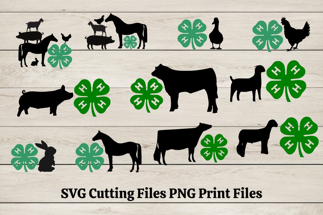 4H Clover SVG Bundle, 4H Showmanship Svg's, County Fair Youth Show, Ag ...