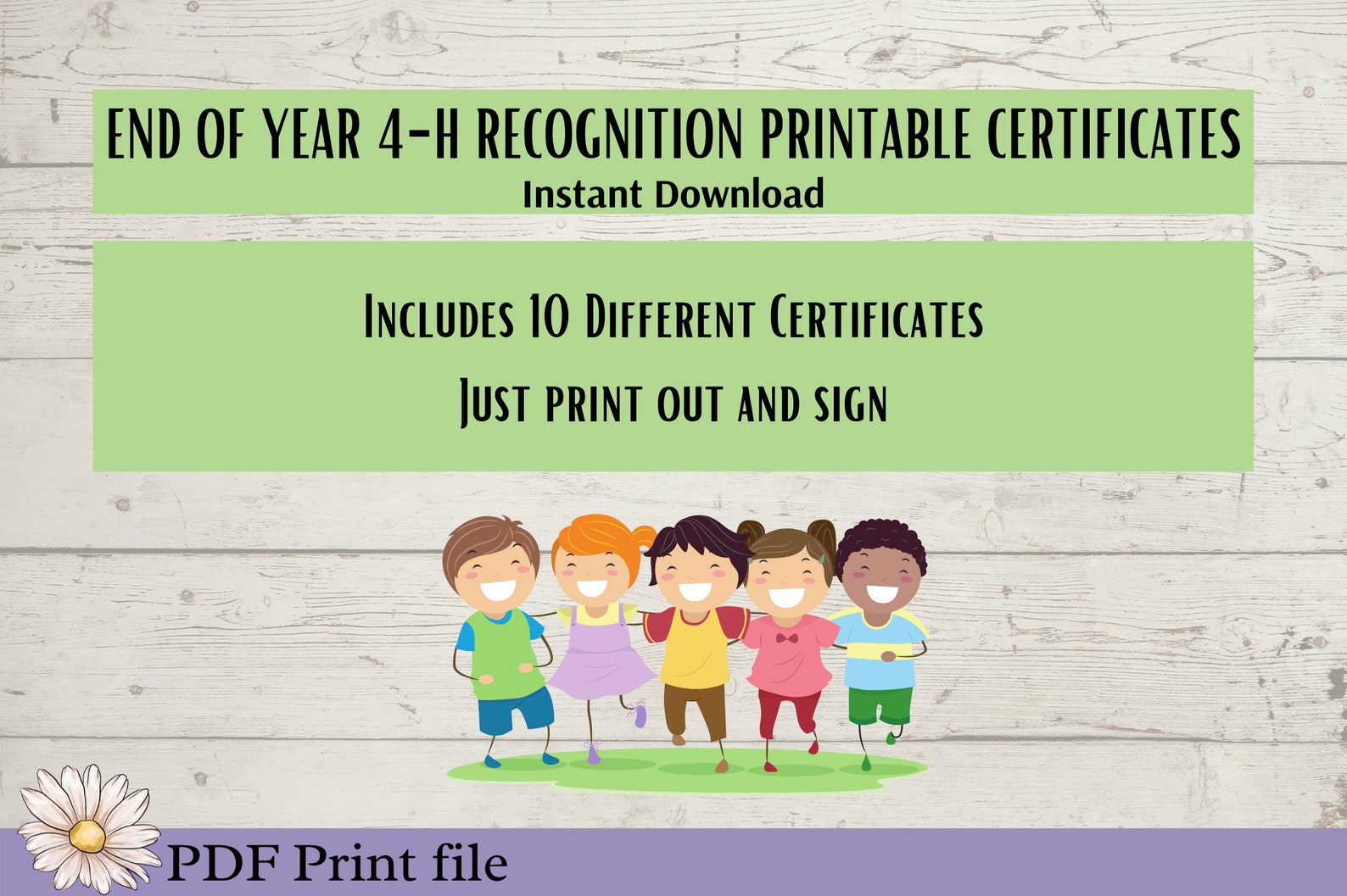 4-H Year End Certificates, Printable 4H Participation Certificate PDF ...