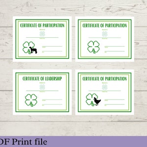 4-H Year End Certificates, Printable 4H Participation Certificate PDF ...