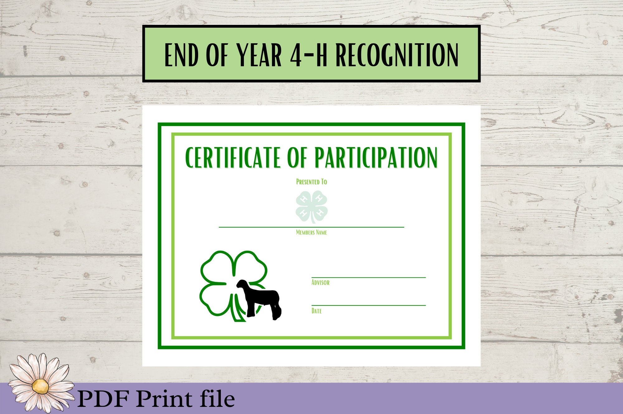 4-H Year End Certificates, Printable 4H Participation Certificate PDF ...