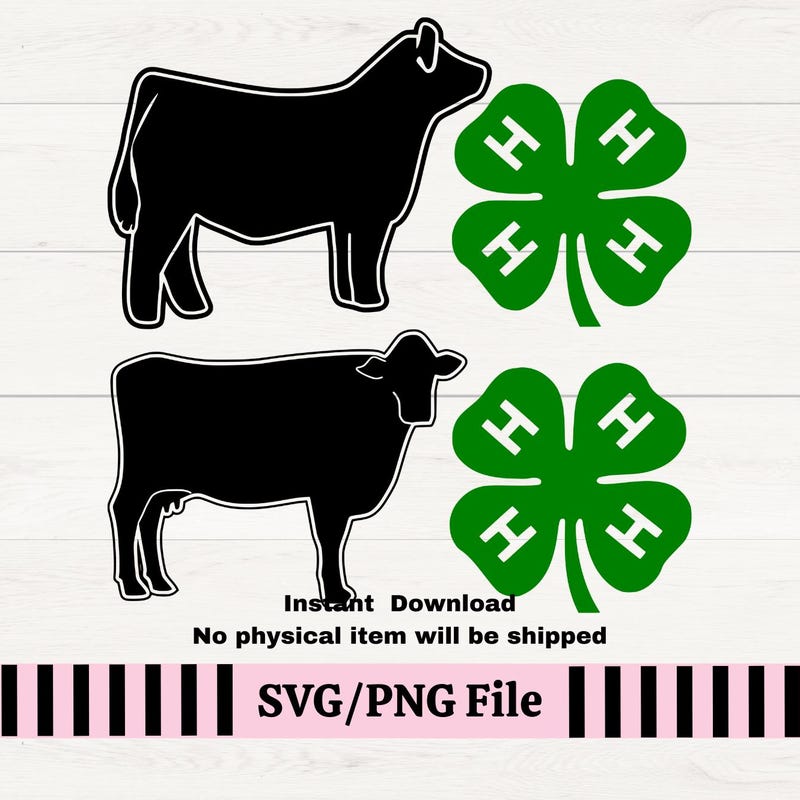 Show Cow Svg - Etsy