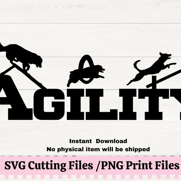 Agility Equipment - Etsy