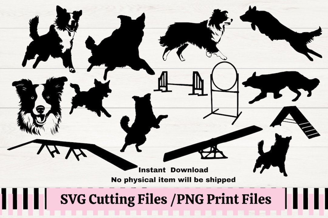 Make Your Own Dog Agility Course SVG/PNG Border Collie Bundle, Dog ...