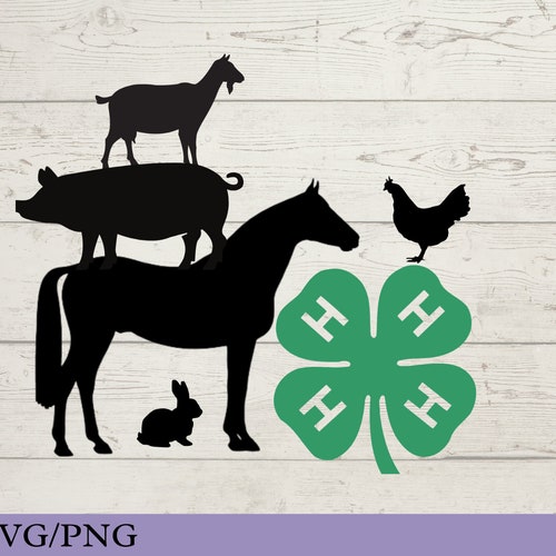 4H Clover SVG for Decals 4H Rabbit Showmanship Svg for - Etsy