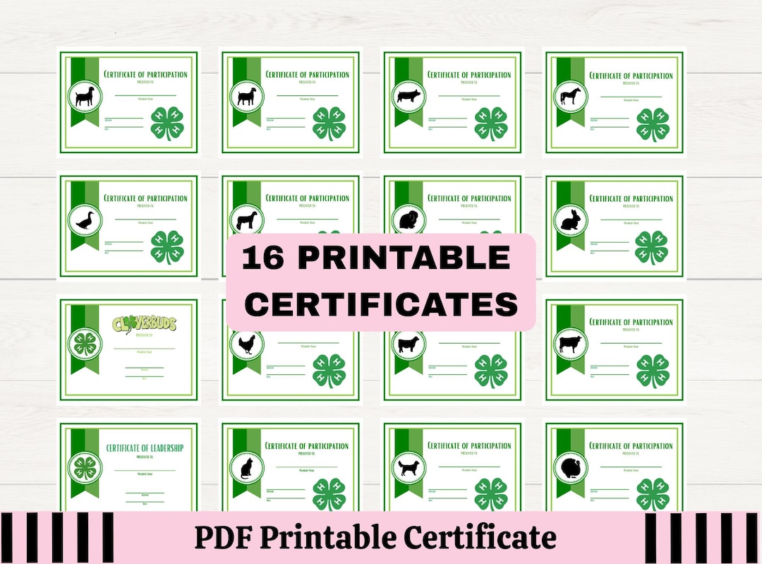 4-H Year End Certificates, Printable 4H Participation Certificate PDF ...
