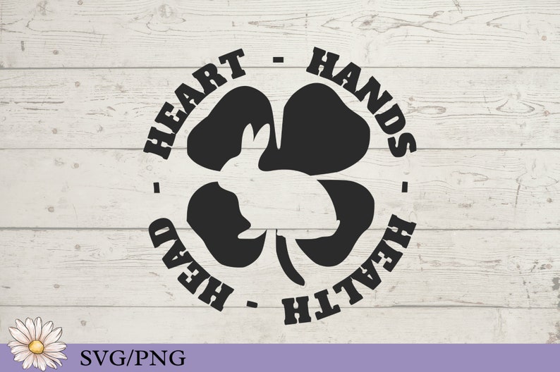 4H Clover SVG for Decals 4H Rabbit Showmanship Svg for - Etsy