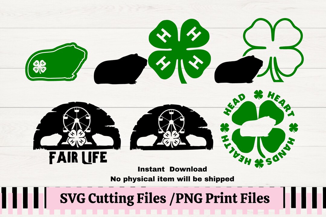 4H Guinea Pig Bundle SVG, 4H Cavy Showmanship Svg for Club T-shirt, 4H ...