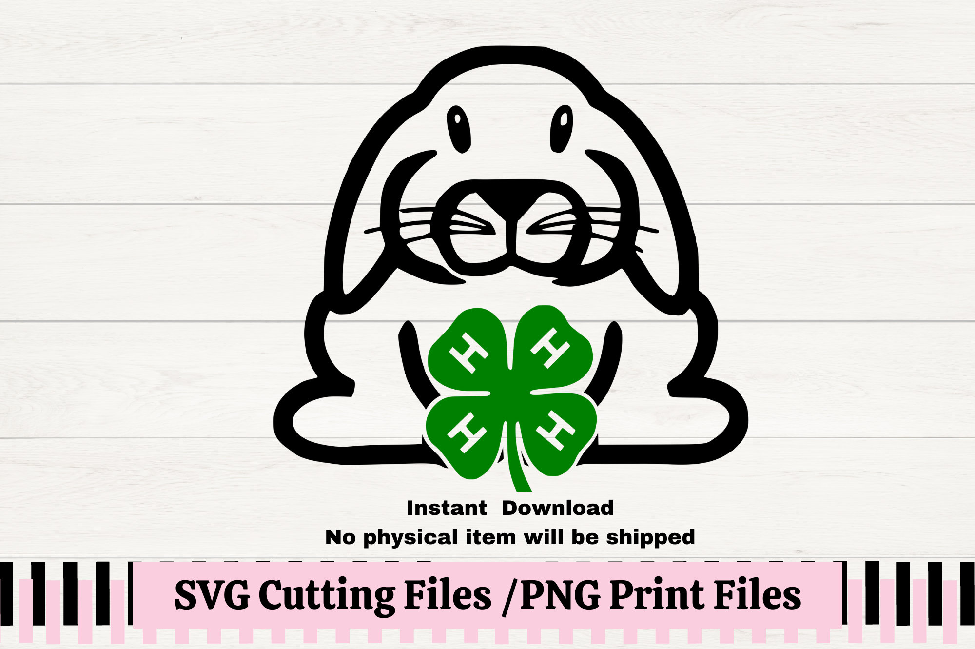 Bunny Rabbit SVG for Decals 4H Rabbit Showmanship Svg for - Etsy