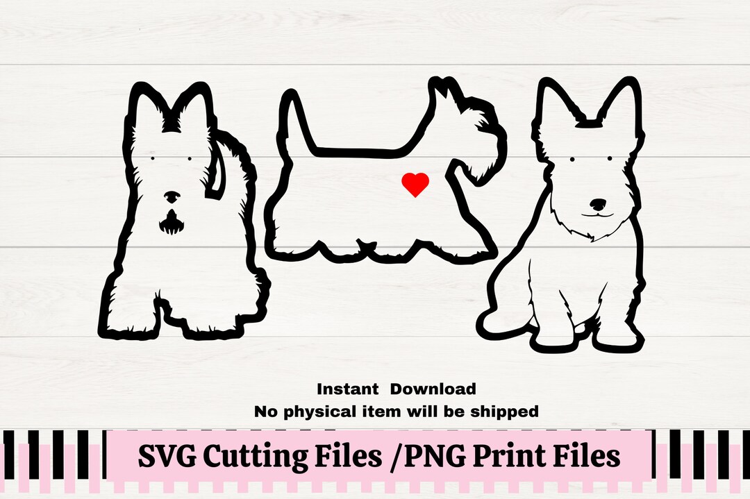 Scottish Terrier SVG for Scotty Lovers, Scotty Dog SVG for Car Decal ...