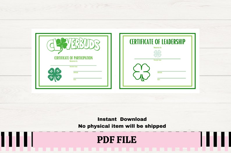 Printable 4-H Participation Certificates, End of Year Awards (PDF) - Etsy