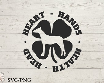 4H Clover SVG for Decals, 4H Rabbit Showmanship Svg for T-shirt, 4H ...