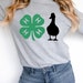 4H Clover SVG Bundle 4H Showmanship Svg's County Fair - Etsy