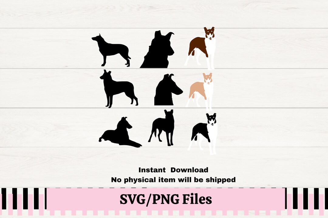 Smooth Collie Silhouette SVG/PNG, Tri Collie Profile Image for Logos ...
