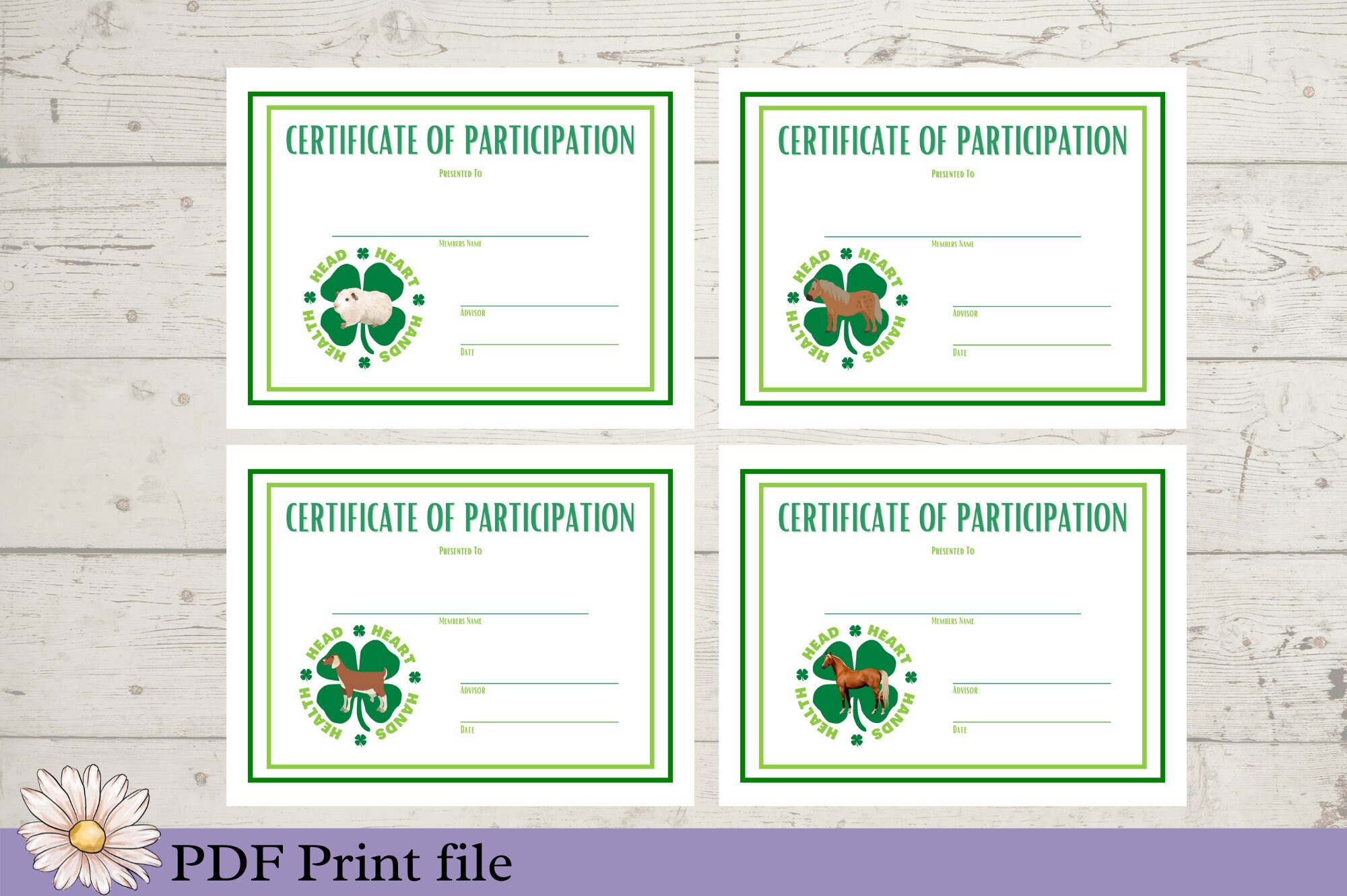 4 H Printable Certificates Participation Workshop Participation
