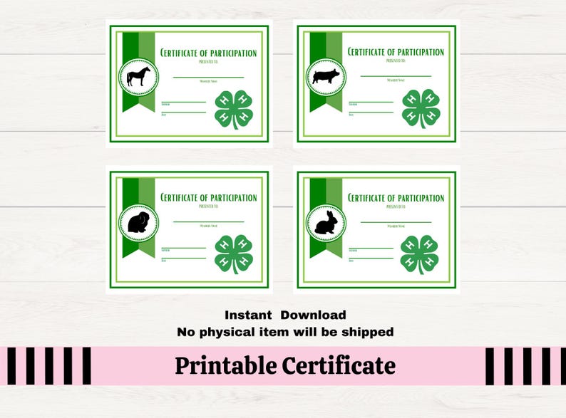 4-H Year End Certificates, Printable 4H Participation Certificate PDF ...