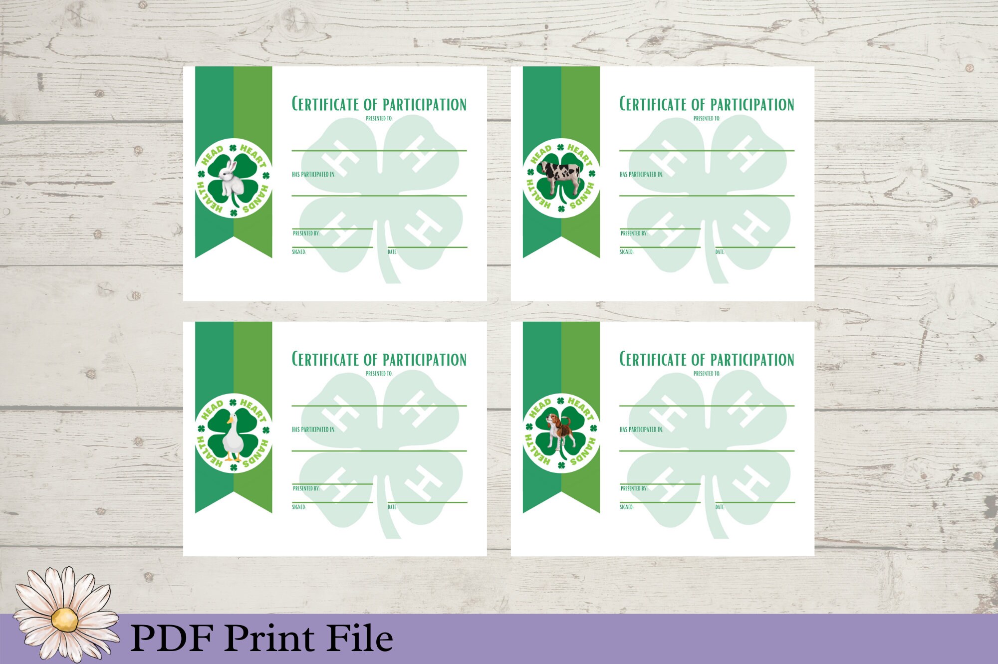 4-H Year End Certificates, Printable 4H Participation Certificate PDF ...