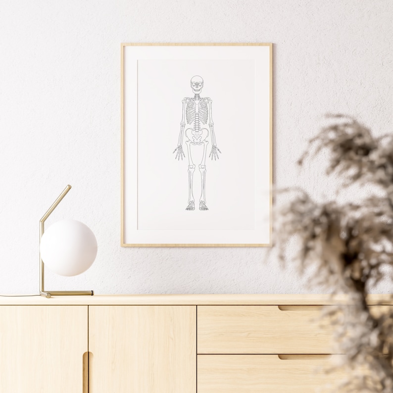 Printable, Human Anatomy Poster, Anatomy Wall Art, Skeleton Print ...