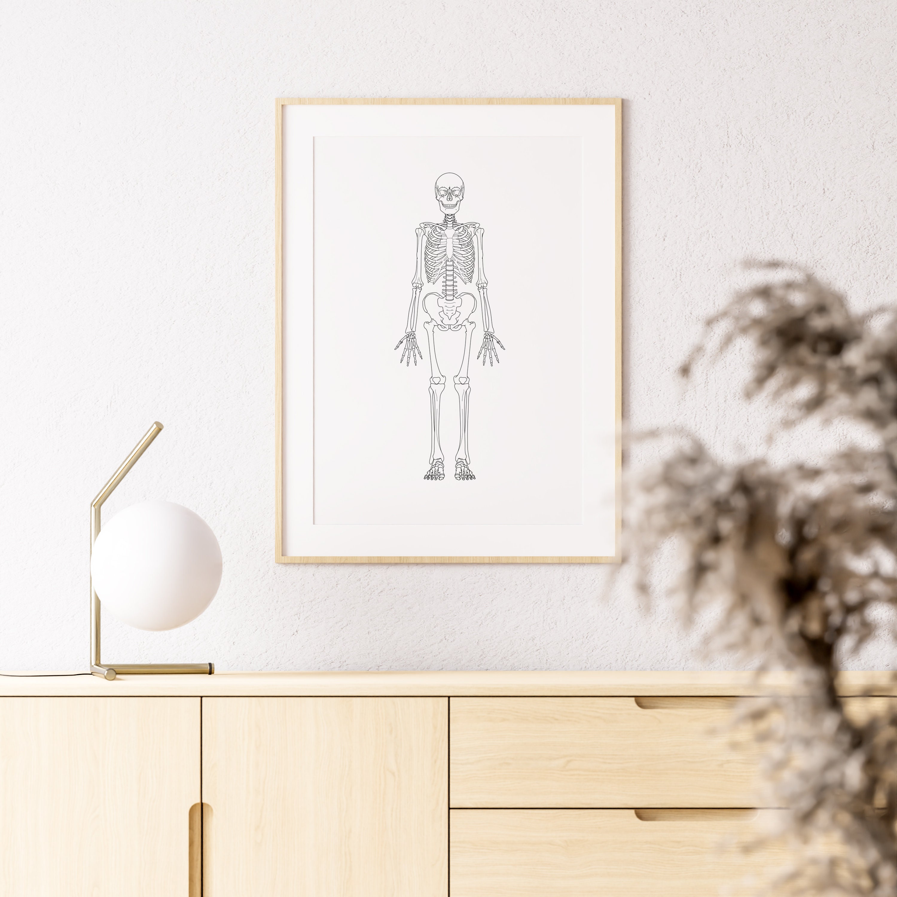 Imprimible Póster de Anatomía Humana Arte de Pared de - Etsy México
