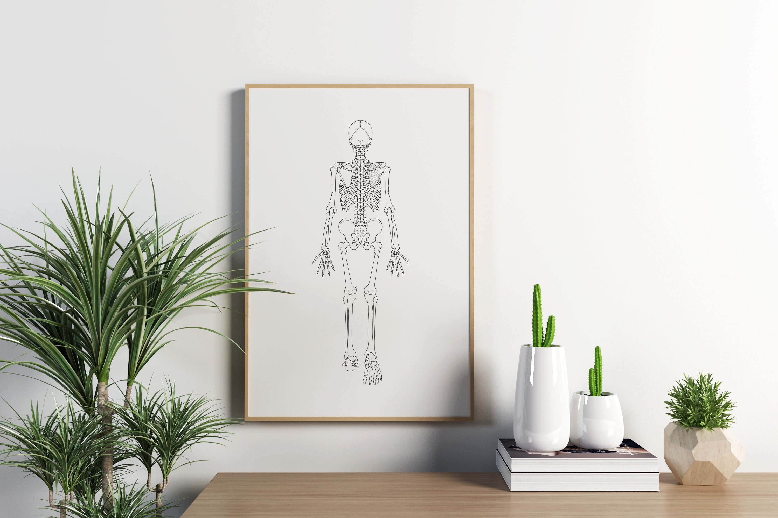 Imprimible Póster de Anatomía Humana Arte de Pared de - Etsy México