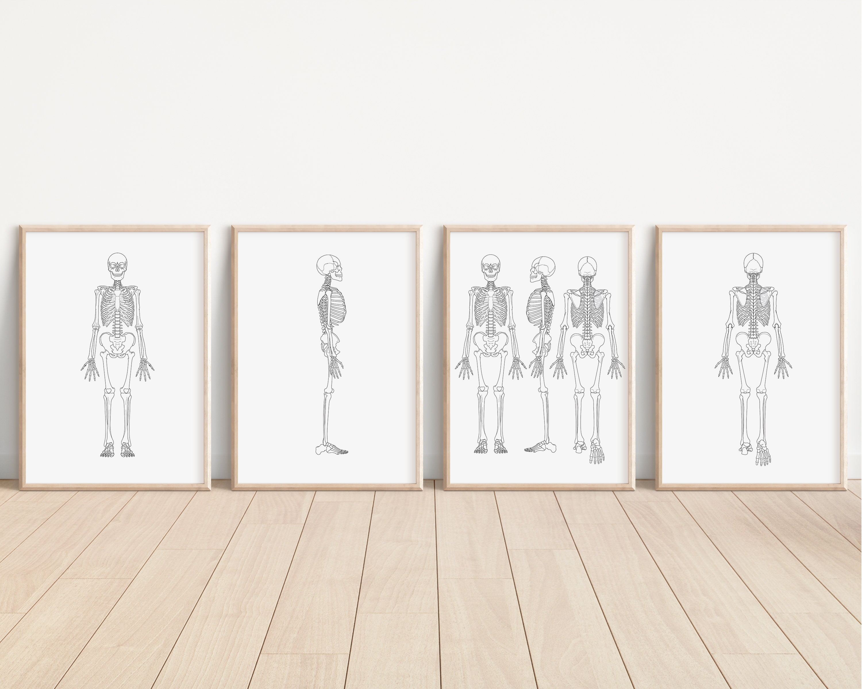 Printable Human Anatomy Poster Anatomy Wall Art Skeleton - Etsy