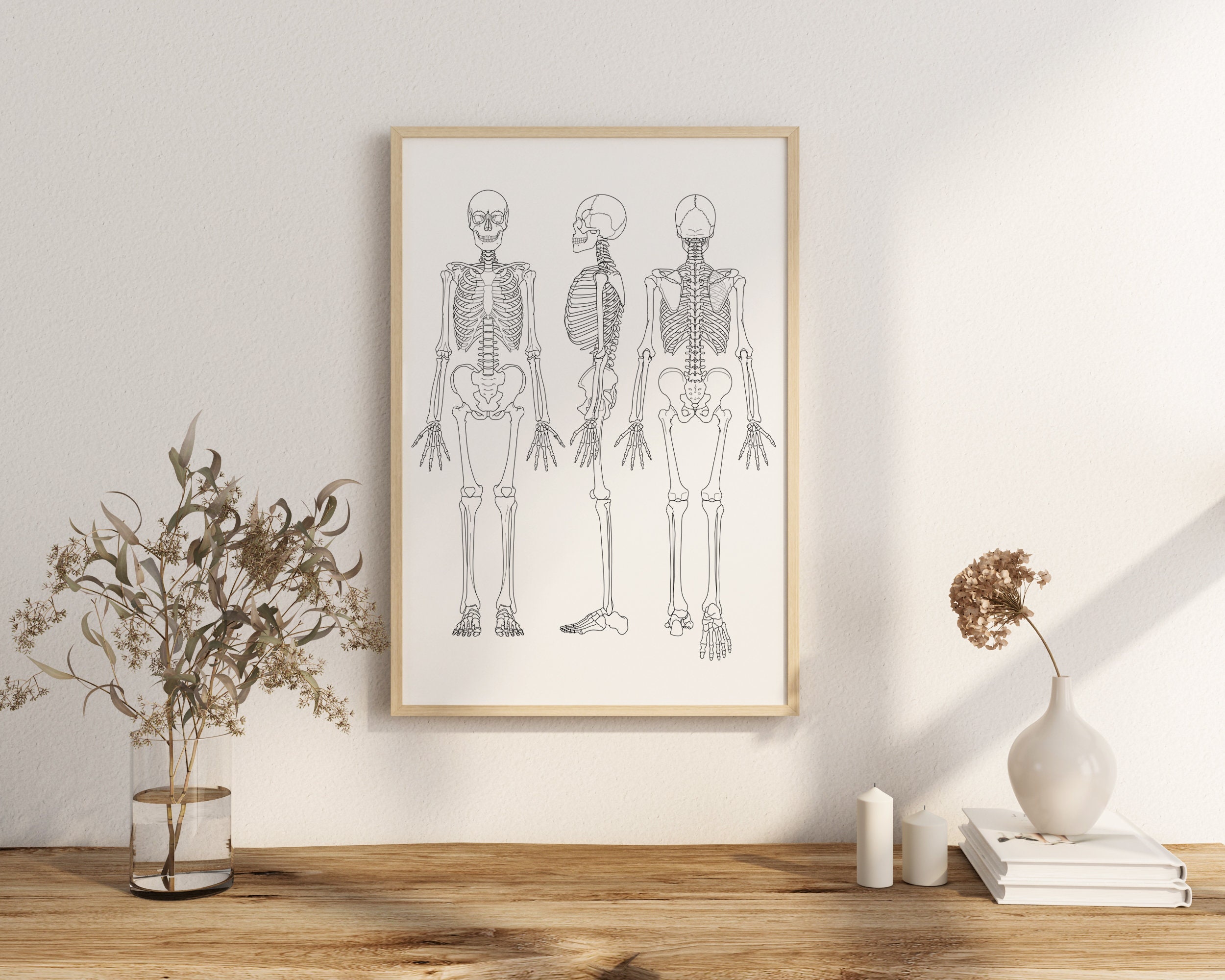 Printable, Human Anatomy Poster, Anatomy Wall Art, Skeleton Print ...