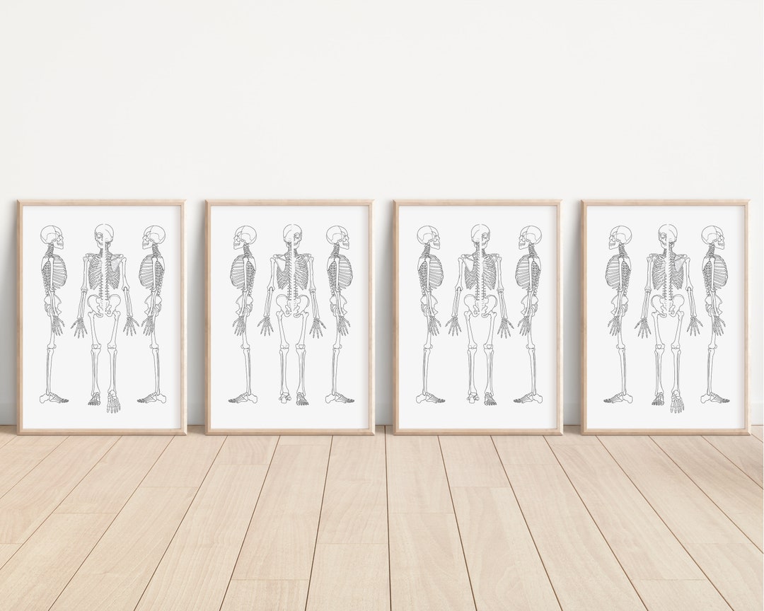 Imprimible, Póster de Anatomía Humana, Arte de Pared de Anatomía ...