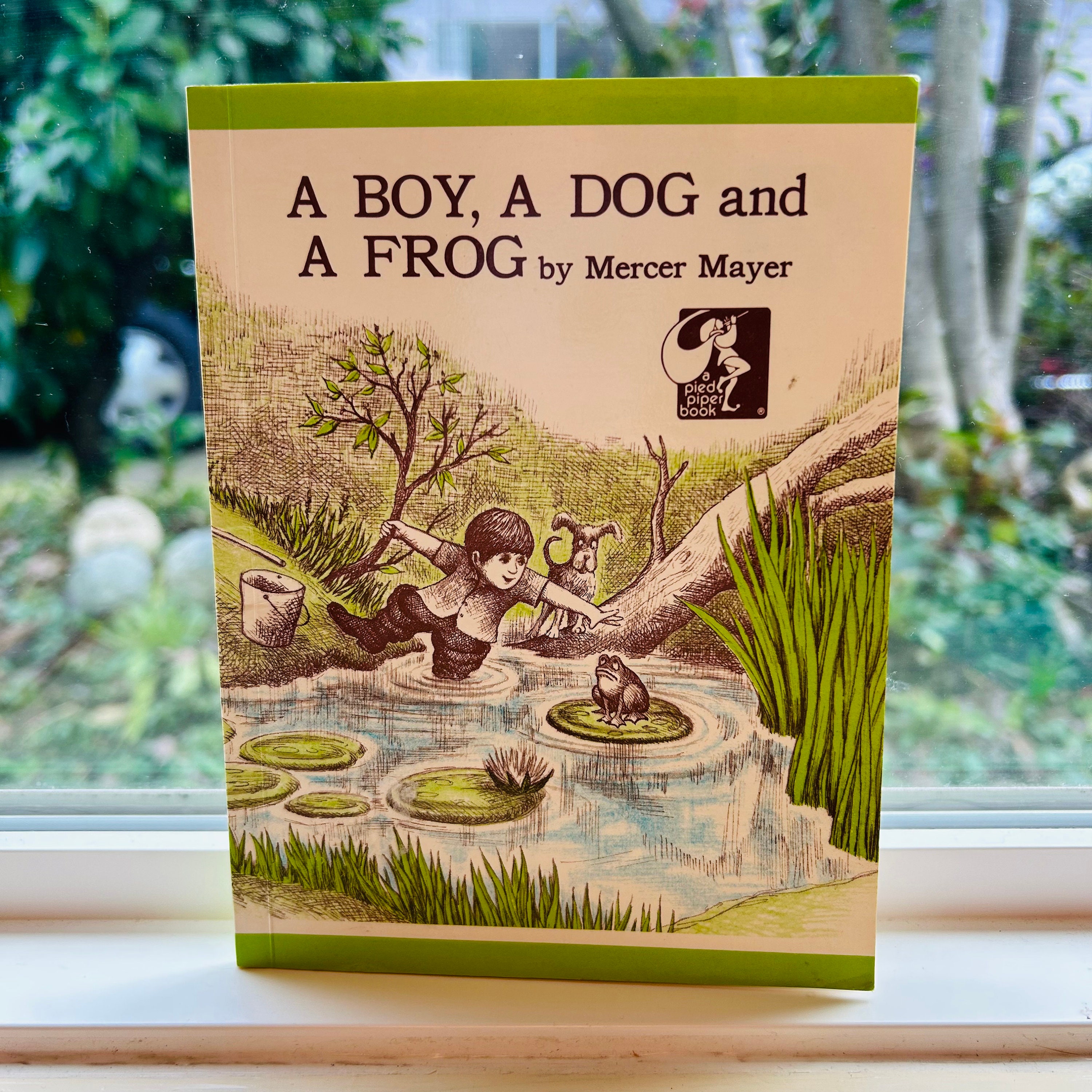A Boy, A Dog, and A Frog by Mercer Mayer - Etsy