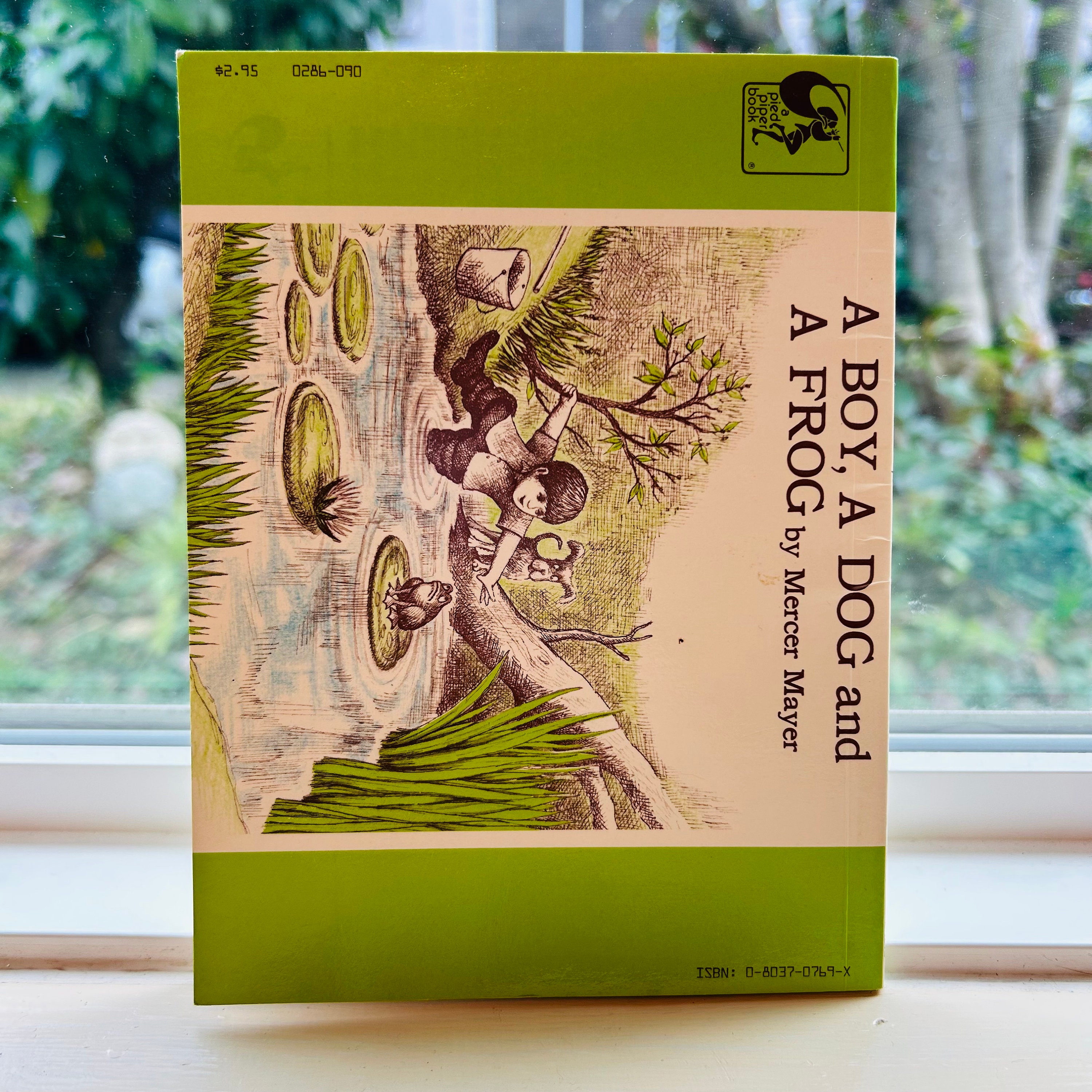 A Boy, A Dog, and A Frog by Mercer Mayer - Etsy