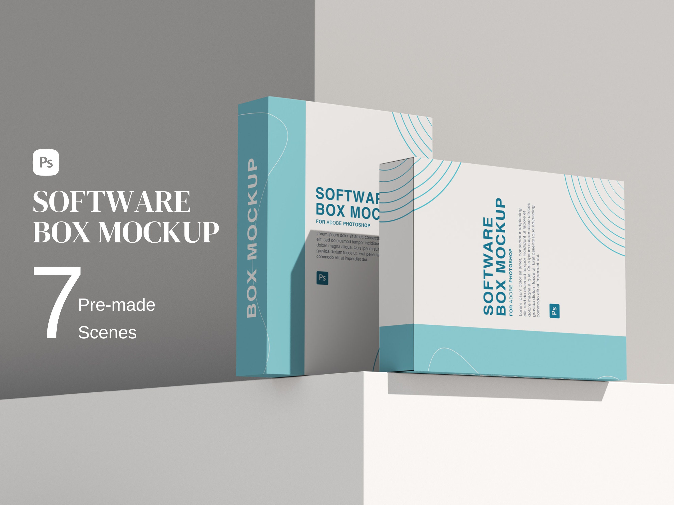 Software Package Box Psd