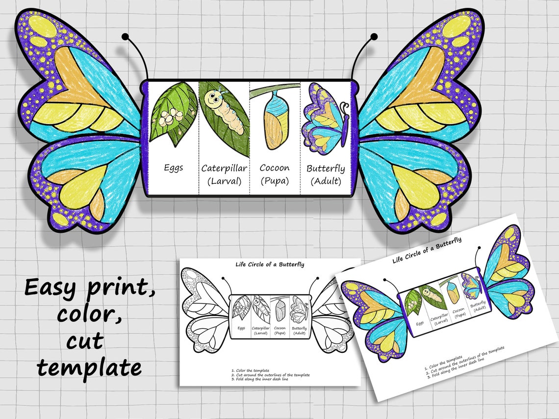 Butterfly Life Cycle Learning Activity for Kids Foldable|montessori ...