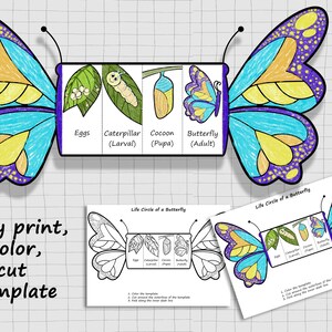 Butterfly Life Cycle Learning Activity for Kids Foldablemontessori Kids ...