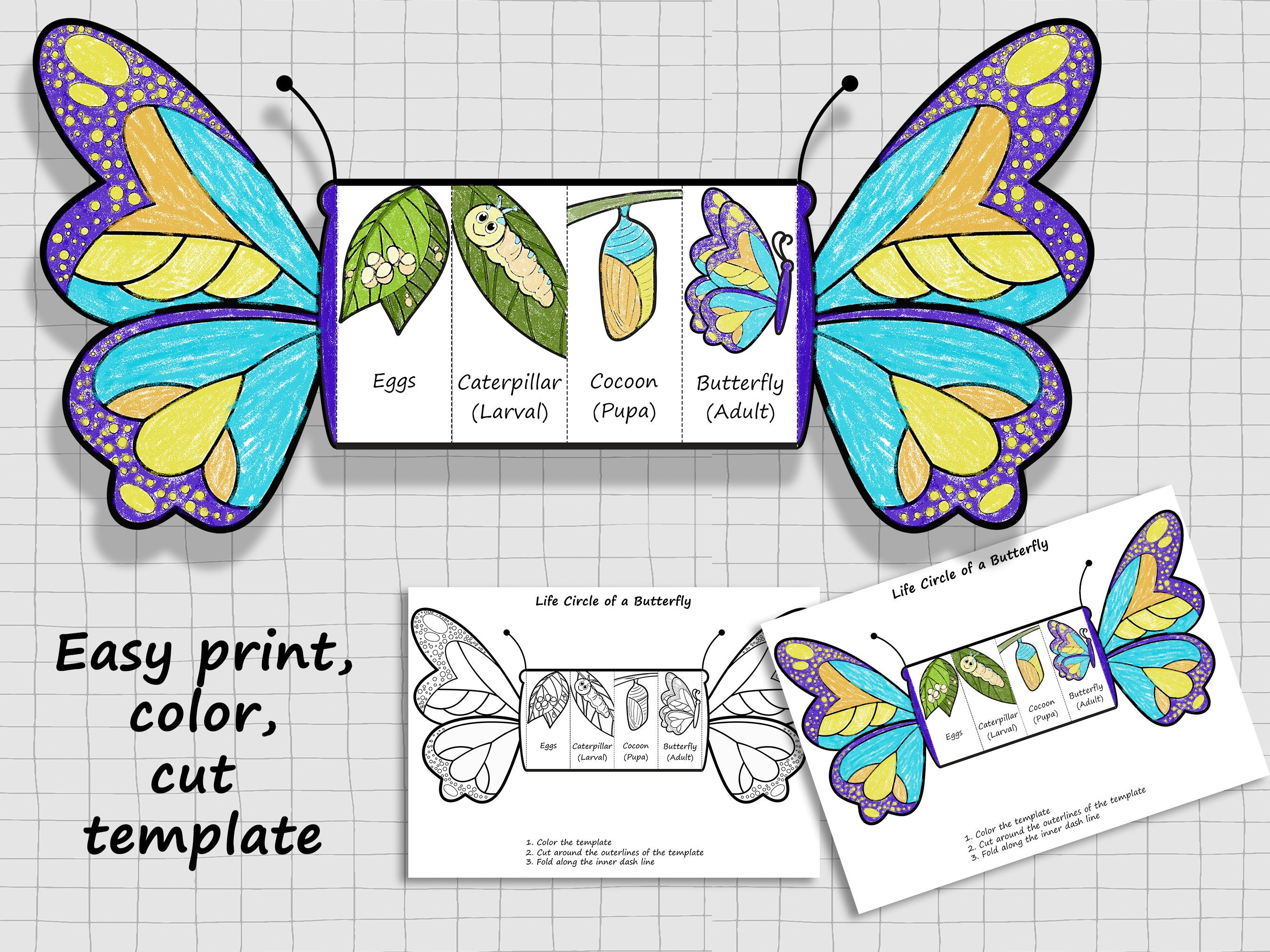 Butterfly Life Cycle Learning Activity for Kids Foldablemontessori Kids ...
