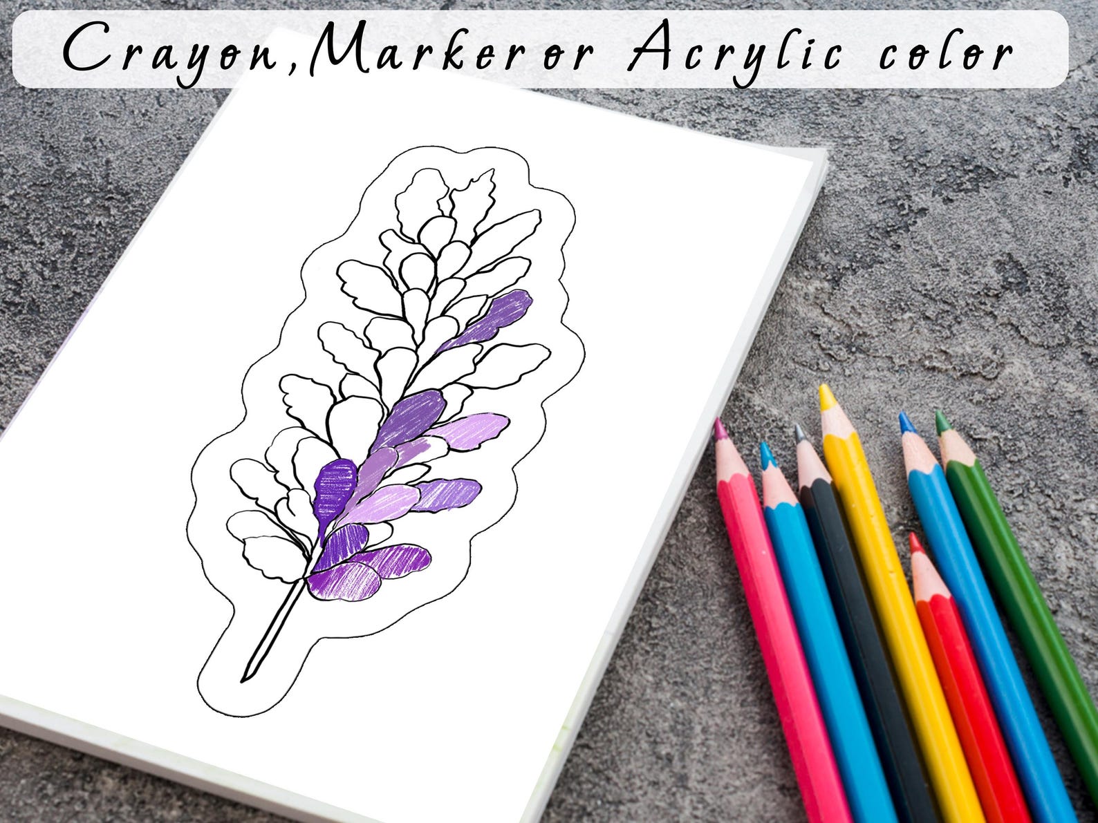 Lavender Flower Drawing Outline/landscape Drawing Outline,template ...