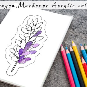 Lavender Flower Drawing Outline/landscape Drawing Outline,template ...