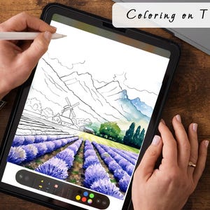 Lavender Flower Drawing Outline/landscape Drawing Outline,template ...