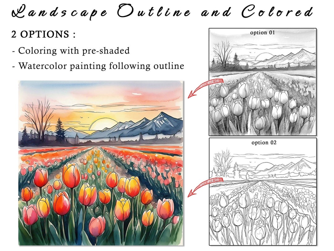 Tulip Flower Drawing Outline/landscape Drawing Outline,template ...